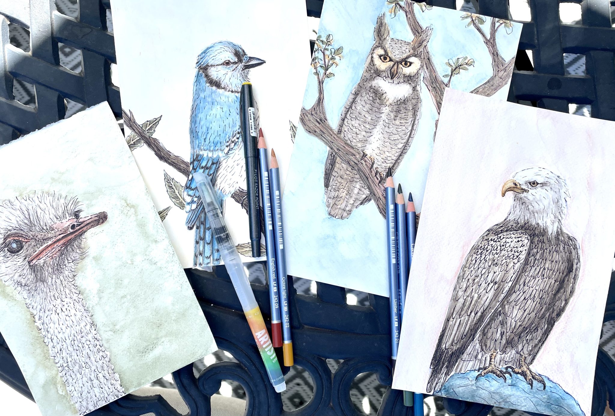 Watercolor Pencil Fowl Drawings • Classy Artist Box