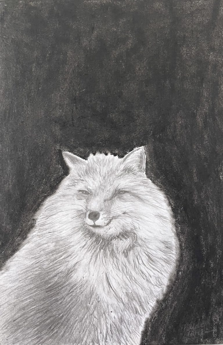 Woodland Animal Drawing Lessons • Classy Artist Box