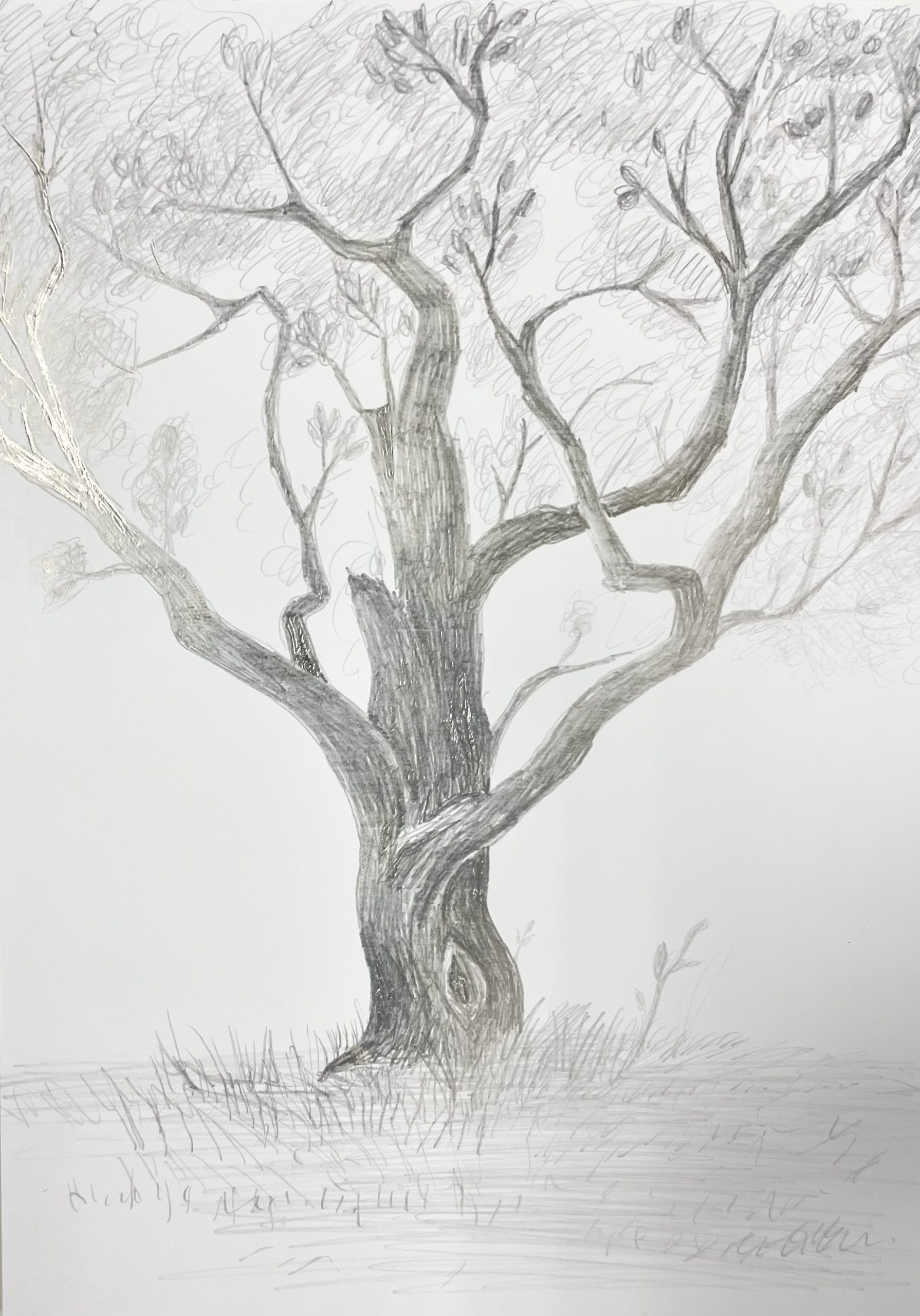 Learn to Draw - Silverpoint and Clay Paper • Classy Artist Box